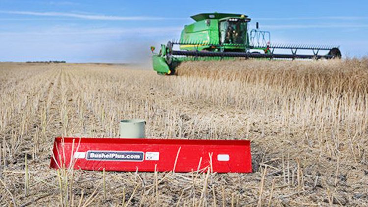 Bushel Plus - JLD-Laguë